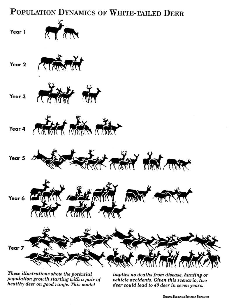 Deer Biology and History – Washtenaw Citizens for Ecological Balance